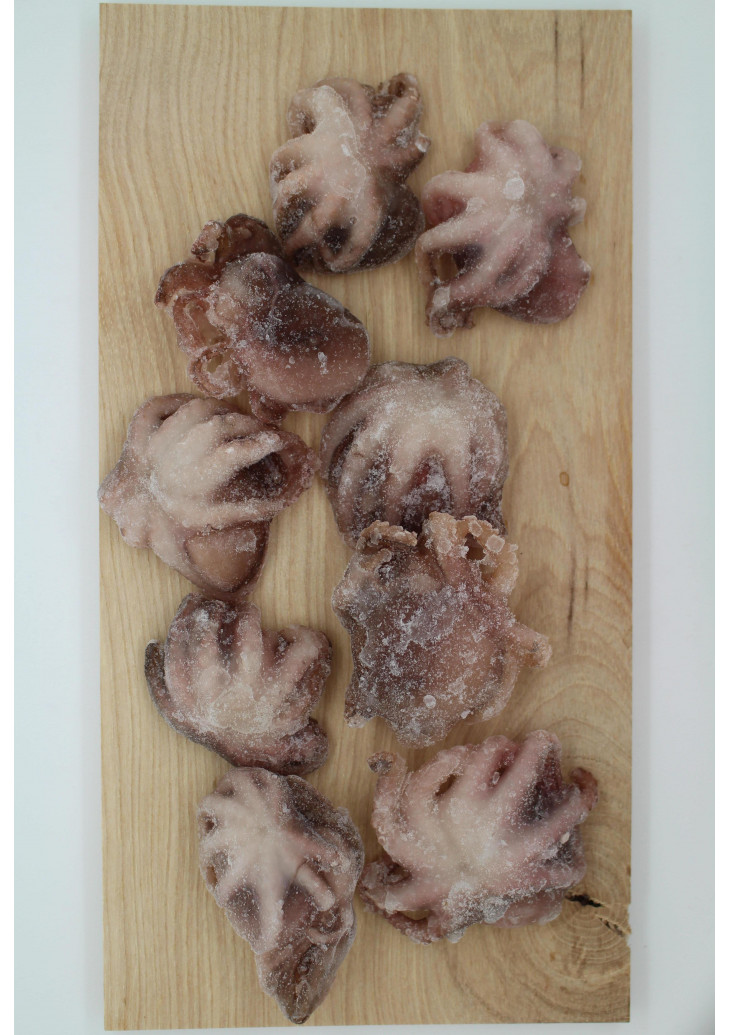 Baby Oktopus online kaufen